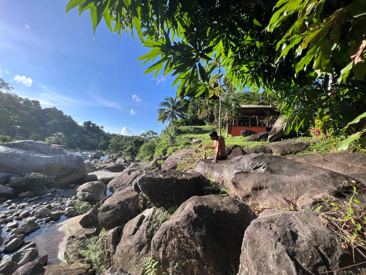 ¡Descubre el Glamping en Hospedaje Canna-Friendly - Casa Parcha ...